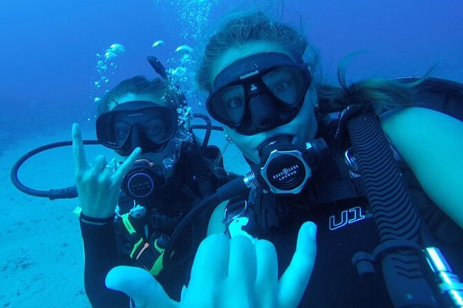 2 Tank Shore Dive at Sea Turtle Cove - Final Thoughts