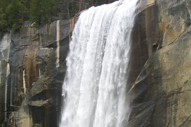 4 Day Death Valley, Yosemite, San Francisco from Las Vegas Camp or Lodge - Authentic Experiences from Reviewers