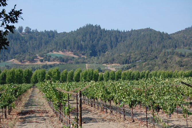 8 Hour Private Napa Wine Tasting Tour with a Sample Stops - FAQ
