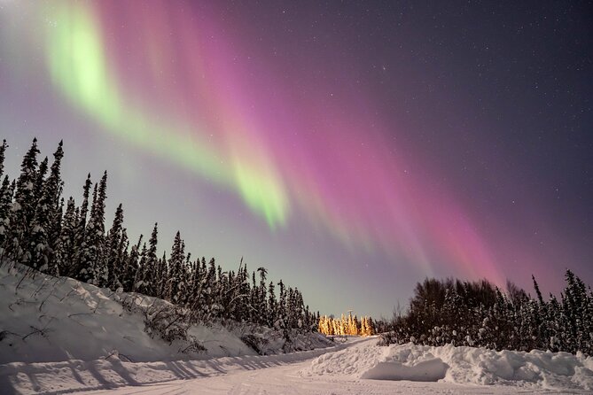Aurora Chasing tour with Free Photography - Real Experiences and Honest Feedback
