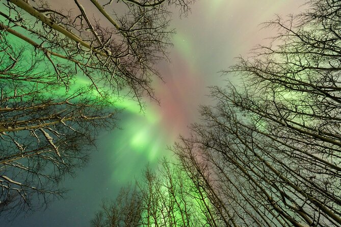Aurora Chasing tour with Free Photography - FAQ