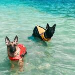 Boat Rentals to Shell Key, Treasure Island and St. Pete Beach - The Itinerary and What to Expect