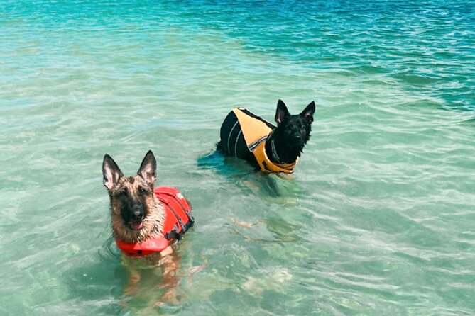 Boat Rentals to Shell Key, Treasure Island and St. Pete Beach - The Itinerary and What to Expect