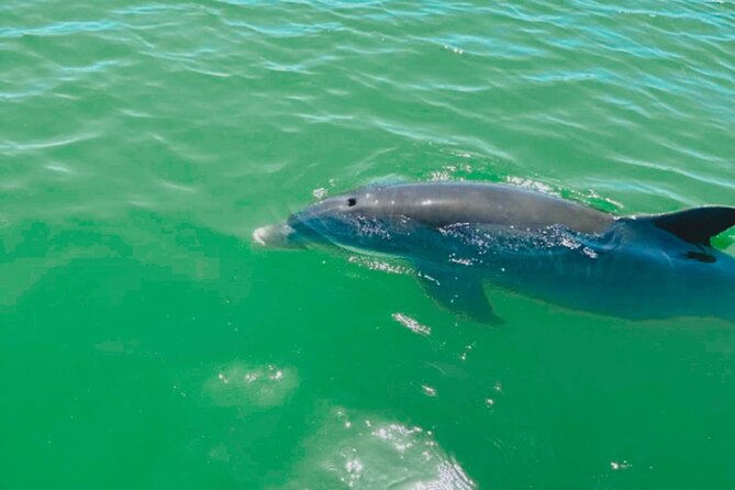 Boat Rentals to Shell Key, Treasure Island and St. Pete Beach - Final Thoughts: Is It Worth It?