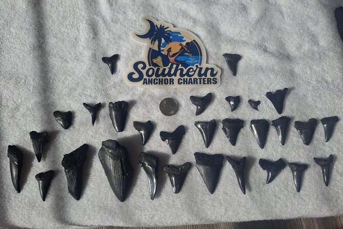 Charleston/Folly Beach Shark Tooth and fossil Island Drop off - What is the Charleston/Folly Beach Shark Tooth and Fossil Island Drop-off?