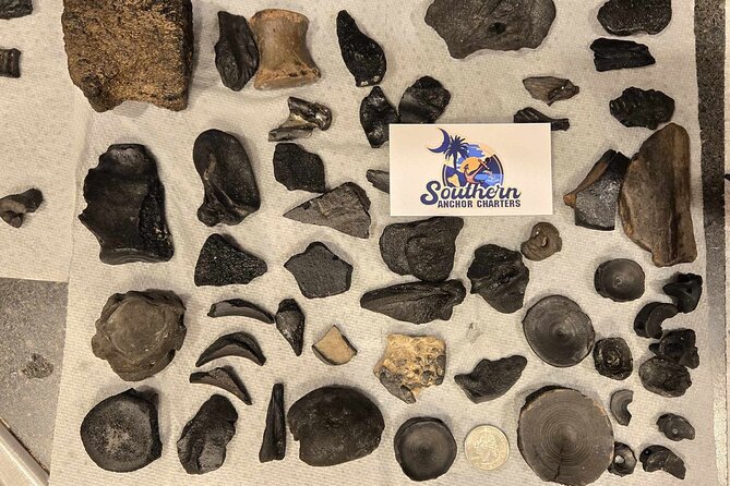 Charleston/Folly Beach Shark Tooth and fossil Island Drop off - The Value of the Tour