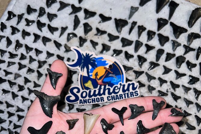 Charleston/Folly Beach Shark Tooth and fossil Island Drop off - Authenticity & Tips for a Better Experience