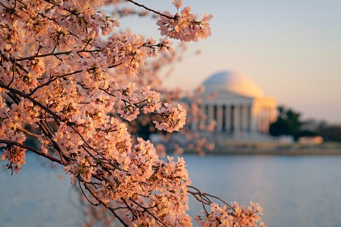 Day Escape to Nations Capital:Washington D.C. Day Trip from NYC - Authentic Insights from Past Travelers