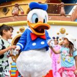 Disneyland Resort Anaheim Tickets in California - Who Should Consider This Ticket Experience?