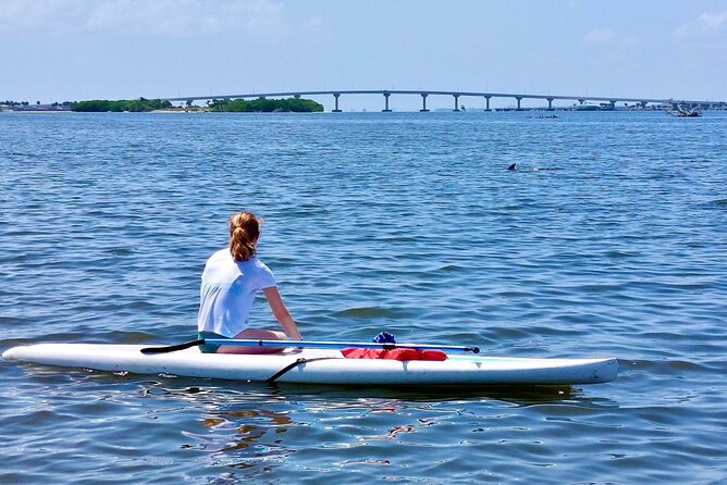 Dolphin and Manatee Clear Kayak or Paddleboard Tour - The Sum Up