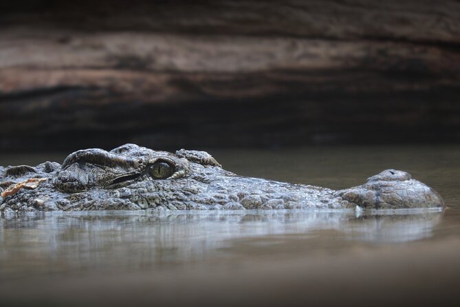 Everglades Airboat Tour with Roundtrip Transportation from Miami - The Value of This Tour