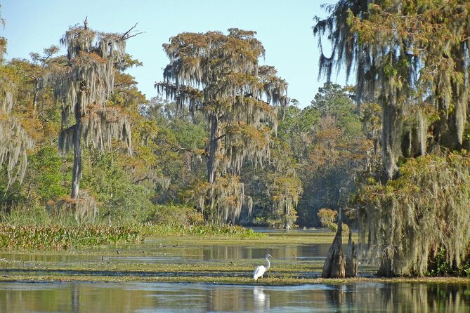 Everglades Airboat Tour with Roundtrip Transportation from Miami - Final Thoughts: Is It Worth It?