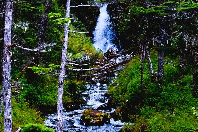 Exquisite Wildlife & Wilderness Photo Tour Anchorage -Whittier - An In-Depth Look at the Itinerary
