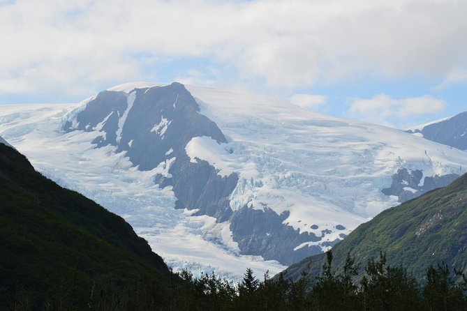 Exquisite Wildlife & Wilderness Photo Tour Anchorage -Whittier - Authentic Traveler Insights