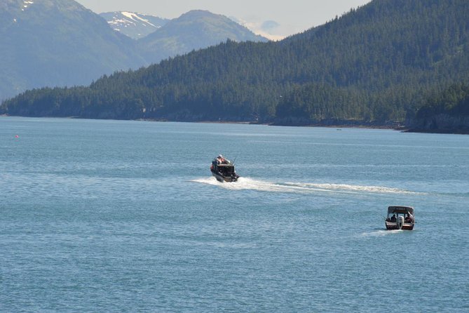 Exquisite Wildlife & Wilderness Photo Tour Anchorage -Whittier - The Sum Up