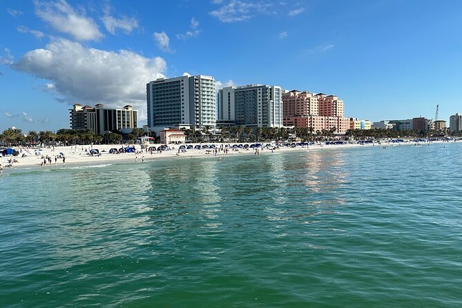 !! Flippers Fun Boat !! Dolphin Adventure Clearwater Beach! - Key Points