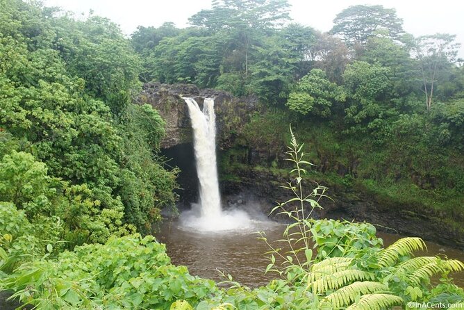 From Big island Kona Volcanoes and Waterfalls Shared Tour - Final Thoughts: Is This Tour Worth It?