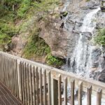 Full Day Tour from Atlanta to Amicalola Falls and Blue Ridge - The Itinerary in Detail