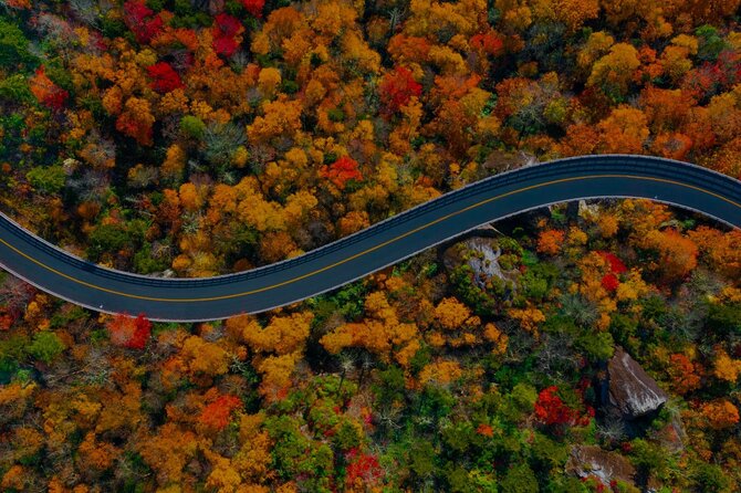 Full Day Tour from Atlanta to Amicalola Falls and Blue Ridge - The Sum Up