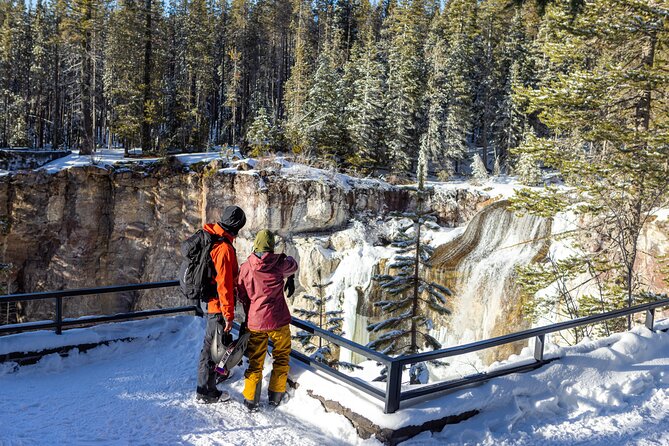 Guided Snowmobile Tours In The National Volcanic Monument - Who This Tour is Perfect For