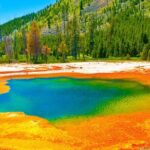 Guided Yellowstone Hot Spring & Geyser Basin Tour - The Experience in Detail