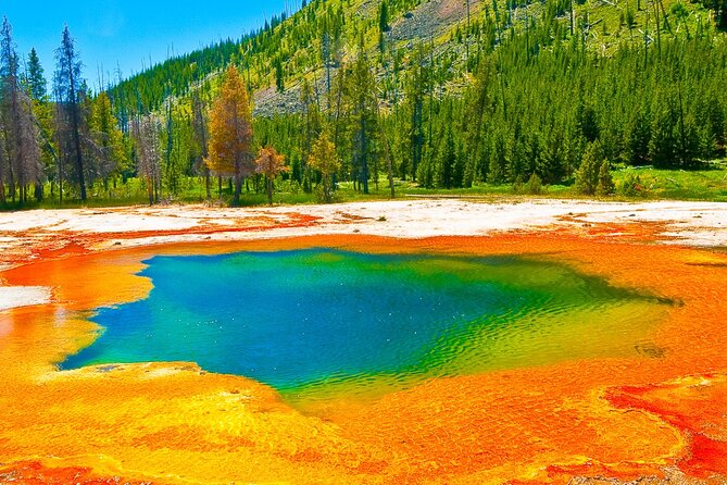 Guided Yellowstone Hot Spring & Geyser Basin Tour - The Experience in Detail
