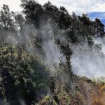 Hawaii Volcanoes National Park Experience from Oahu - The Sum Up