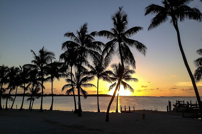 Islamorada Florida Keys Sunset Sightseeing Cruise Music - What Makes This Tour Stand Out?