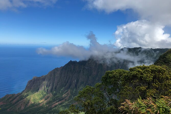 Kauai Island Tour : Journey to Waimea Canyon & More Highlights - Key Points