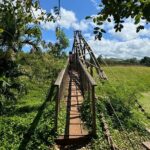 Kauai Island Tour : Journey to Waimea Canyon & More Highlights - What’s Included and What to Keep in Mind