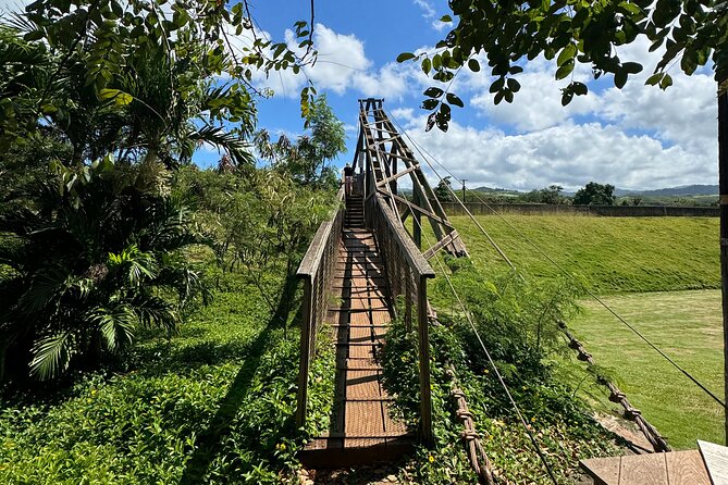 Kauai Island Tour : Journey to Waimea Canyon & More Highlights - What’s Included and What to Keep in Mind