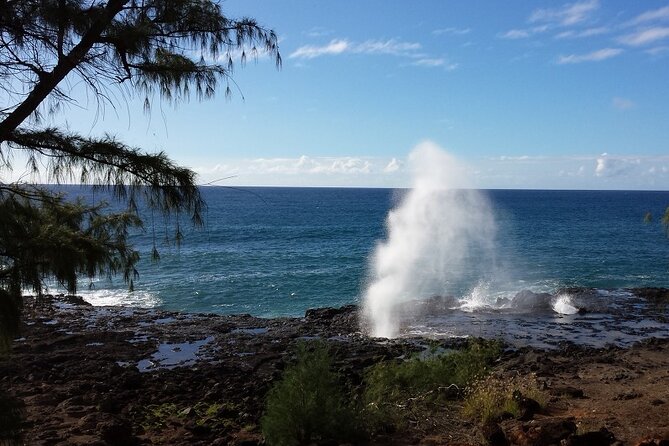 Kauai Island Tour : Journey to Waimea Canyon & More Highlights - Final Thoughts: Is This Tour Worth It?
