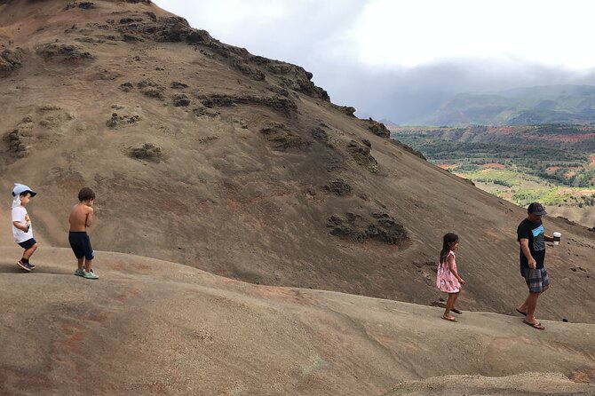 Kauai's Waimea Canyon and South Side Private Guided Tour - Key Points
