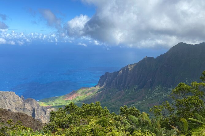 Kauai's Waimea Canyon and South Side Private Guided Tour - Who Will Love This Tour?