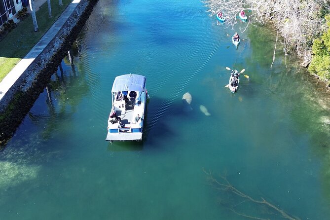 Kings Bay Eco Tours - Who will love this tour?