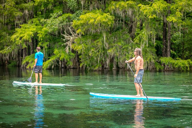 Merritts Mill Pond Eco Adventure - The Experience in Detail