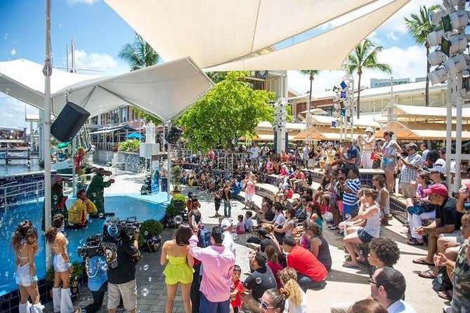 Miami Combo Tour (Everglades Tour + Boat Tour) - Who Will Enjoy This Tour?