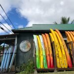 Midday Meander - Kealakekua Bay Kayak and Snorkel Adventure - What’s Included & What to Bring
