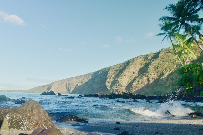 Midday Meander - Kealakekua Bay Kayak and Snorkel Adventure - Why This Tour Offers Great Value