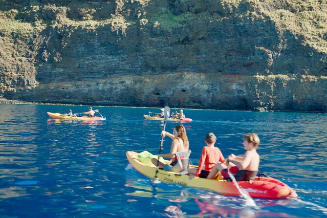 Midday Meander - Kealakekua Bay Kayak and Snorkel Adventure - Final Thoughts: Who Will Love This Tour?