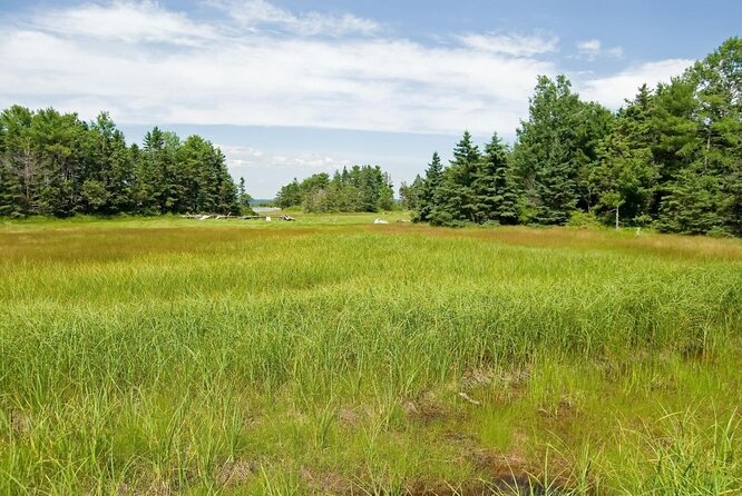 Private Kayak Tour in Oak Island - A Closer Look at the Private Kayak Tour in Oak Island