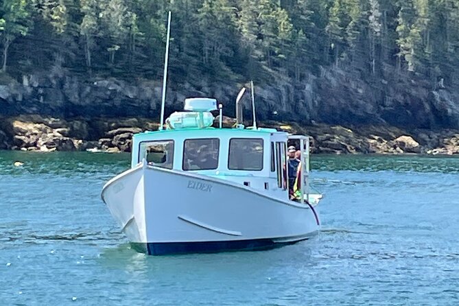 Private Sightseeing Charter in Frenchman Bay - Exploring Frenchman Bay by Boat: What You Can Expect