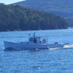 Private Sightseeing Charter in Frenchman Bay - Authentic Insights from Past Travelers