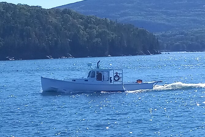 Private Sightseeing Charter in Frenchman Bay - Authentic Insights from Past Travelers