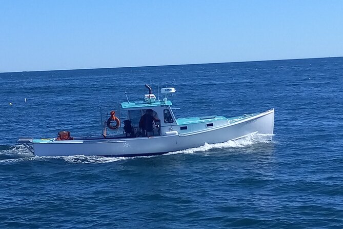 Private Sightseeing Charter in Frenchman Bay - Summing Up