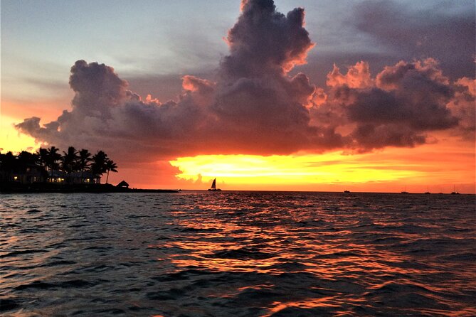 Private Sunset Cruise in Key Largo - Why You’ll Love the Private Sunset Cruise