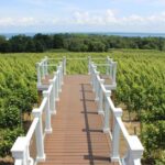 Private Traverse City Winery or Brewery Tour - Frequently Asked Questions