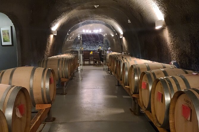 Private Wine Tours - Why Choose a Private Wine Tour in Willamette Valley?