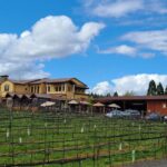 Private Wine Tours - An In-Depth Look at the Itinerary