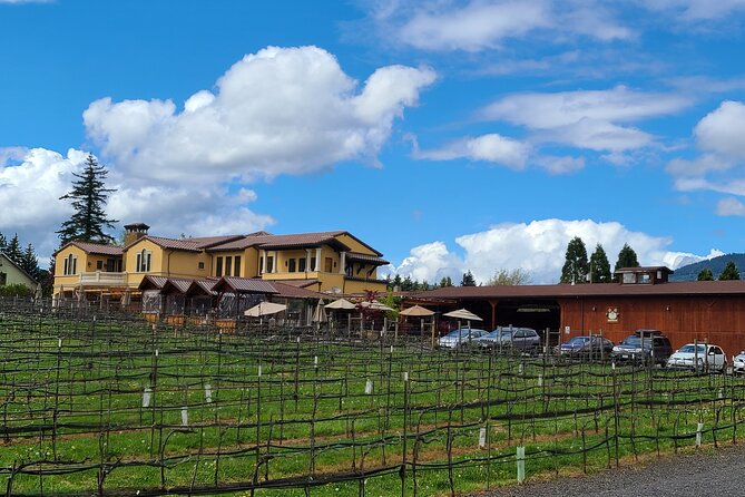 Private Wine Tours - An In-Depth Look at the Itinerary